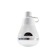 China Factory Price 1000mAh 6v Solar Lamp Rechargeable Led Light Bulb With Solar Panel for sale