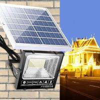 China 1000W Solar Garden Lights Home Bright High Power Induction Solar Flood Light for sale