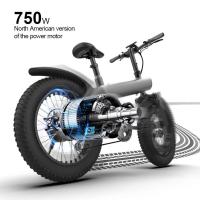 China 48V/750W Lithium Ion Battery Max Load 100kg for Motor Applications Q3 All-terrain for sale