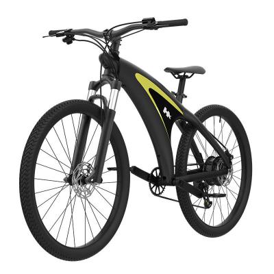 China 90-100km Power Assist Lithium Ion Battery in Deep Iron Black / Titanium Gray for sale