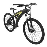 China 90-100km Power Assist Lithium Ion Battery in Deep Iron Black / Titanium Gray for sale