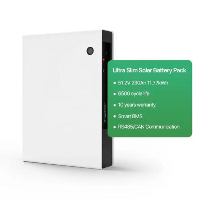 China High Performance Lithium Solar Battery 48V/51.2V Nominal Voltage 100A Charge Current for sale