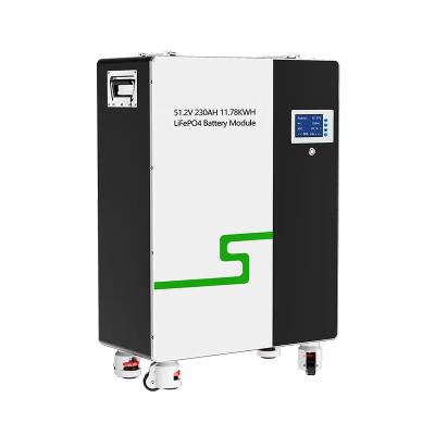 China IP55 Output Power Range Rechargeable Lithium Ion Battery 10Kwh 51.2V 184Ah with 5 for sale