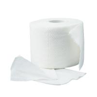 China Perforated Roll Disposable Facial Towel for sale