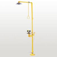 China 304 Stainless Steel Emergency Eyewash and Shower Station with ABS Plastic Cover and ANSI Z358.1.2014 Compliance for sale