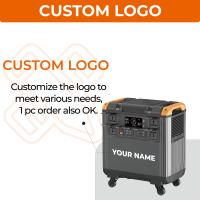 China 3000W Portable Power Station with 5376Wh LiFePO4 Battery, MPPT Controller and UPS Function for Outdoor Camping for sale