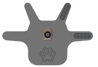 China HSY-PET2001 Pet Physical Therapy & Back Relief Red Light Device for sale