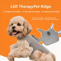 China HSY-PET2001 Pet Physical Therapy & Back Relief Red Light Device for sale