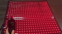 China HSY-TPM100 Veterinary Physiotherapy Equipment Red Light Therapy Mat for sale