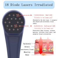 China HSY-HTP1660 Handheld Infrared Red Light Therapy Device for Pets for sale