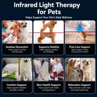 China HSY-PET2002 Pet Leg Muscle Relaxation Red Light Therapy Device for sale