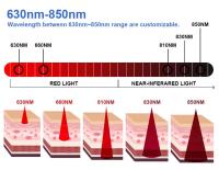 China HSY-PET2001 Pet Physical Therapy & Back Relief Red Light Device for sale