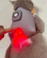 China HSY-PET2001 Pet Physical Therapy & Back Relief Red Light Device for sale