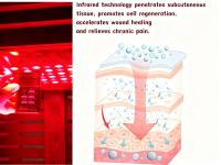 China HSY-TC0183 Dog and Cat Full Body Red Light Therapy Pet Cage for sale
