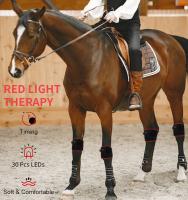 China HSY-TPH0155 Equine Therapy Red Light Horse Belt for sale