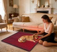China HSY-TPM100 Veterinary Physiotherapy Equipment Red Light Therapy Mat for sale
