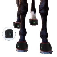 China HSY-TPH0155 Equine Therapy Red Light Horse Belt for sale