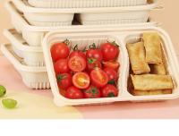 China Food Lunch Box Microwave Takeaway Food Packaging and Storage Containers for sale