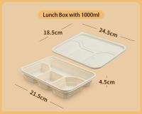 China Corn Starch Packaging 4 Compartment Bento Disposable Restaurant Take Away Food Container Cornstarch Square Lunch Box for sale