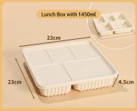 China 100% Compostable Disposable Food Container Biodegradable Plates Lunch Food Tray for sale