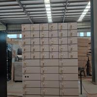 China 2.0mm Steel Plate Bank Safe Deposit Box Lockable Acid Washed 600mm Depth for sale