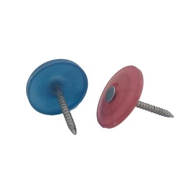 China Roofing 12 Gauge Plastic Cap Nails Ring Shank for sale