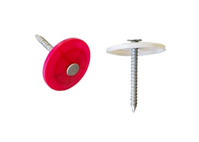 China Round Head 1 1 2 White Plastic Cap Nails RF-PCN1010 for sale