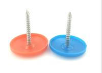China 24.5mm Plastic Cap Roofing Nails with 1