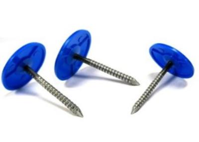 China Colorful Plastic Cap Ring Shank Roofing Nails 3/4