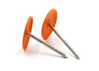 China 1 Inch Ring Shank Plastic Cap Roofing Nails with Waterproof Gasket - 12 Gauge Shank, 250 Count Per Pound for sale