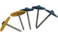 China 25mm Round Cap Roofing Nails with Plastic Washers - 24.5mm Head Diameter, 1/2