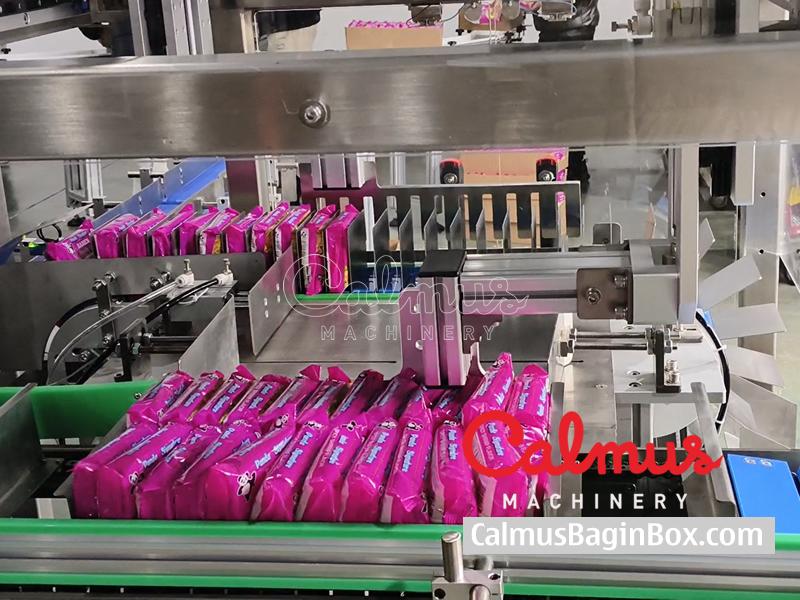 Collator for Instant Ramen Packets (Tray Packing)