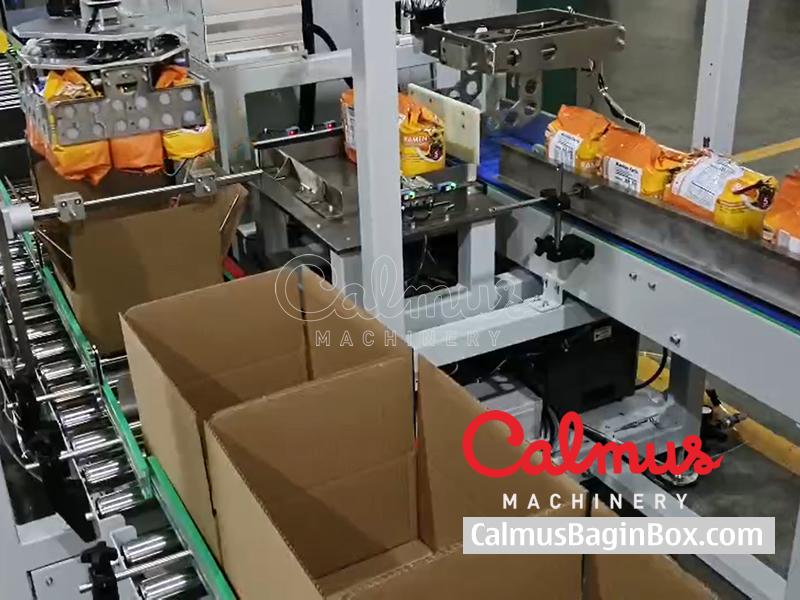 Vertical Case Packer for Instant Noodle Bundles