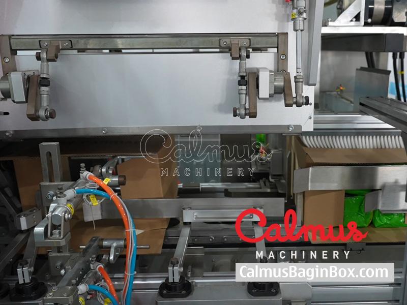 Vertical Case Packer for Instant Noodle Bundles