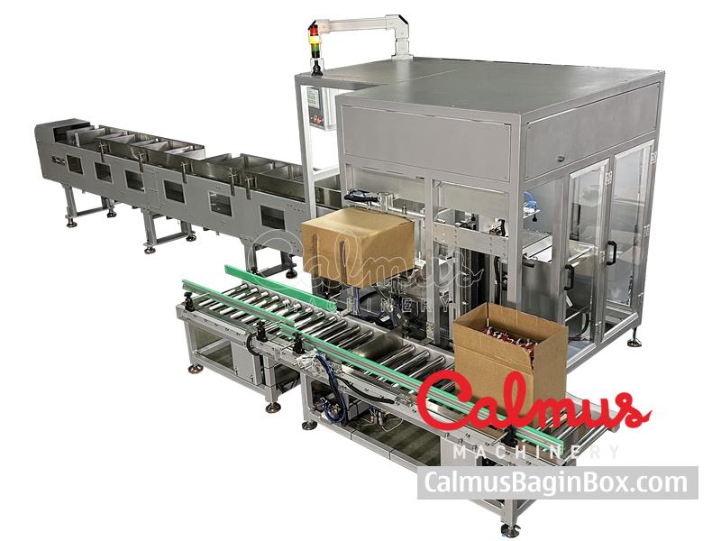 Case Packer for Instant Noodle Packets