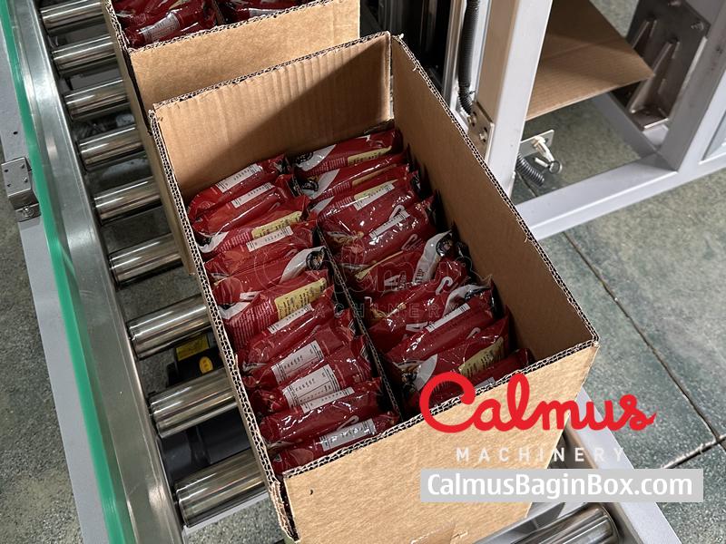 Case-Packed Instant Noodle Packets
