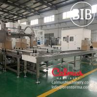 China Bag in Box Line for Packaging Shortening in Bulk for sale