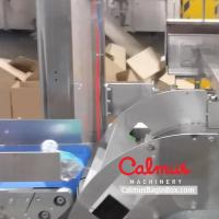 China Monoblock Pouch Case Packer Machine for Cartoning Doypacks for sale