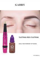 China Rechargeable Wireless Tattoo Pen Machine Makeup Kit For Lips Eyebrow Tattoo Training for sale