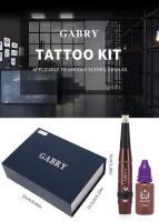 China Customized Semi Permanent Tattoo Pen Makeup Machine Set For Eyebrow Microblading for sale