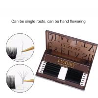 China Makeup Eyelashes 8-14mm Mixed Rapid Volume Lash Extensions Cc/D/Dd Curl 0.10 3D 5D Yy Automatic Blooming Flower Lashes Individual Lashes for sale