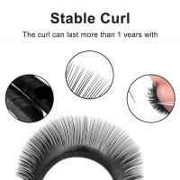 China 3D W-Shaped Eyelash Extension Premade Volume Individual Lashes C/D/Dd Curling Double Tips Cashmere Eyelash Extension 8-14mm for sale