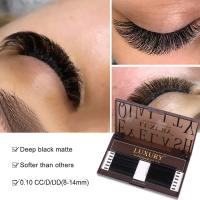 China Yy Shape Volume Lash Extensions C/D Curl 0.1mm Long Lasting Premade Fans Matte Black Lashes DIY Grafting Eyelashes 8-14mm for sale