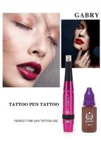 China Semi-Permanent Makeup Eyebrow Microblading Wireless Tattoo Machine Pen with OEM Logo for sale