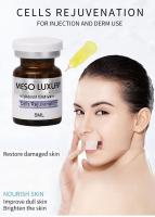 China Deep Hyaluronic Acid Dermal Filler Meso Luxury 5ml Injection for Cells Rejuvenation1 for sale