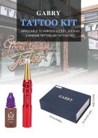 China Factory Price Tattoo Pen Set Wireless Strong Motor Permanent Makeup Machine Tattoo Set for sale