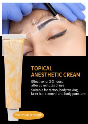 China Blank Tube Tattoo Numbing Cream Eyebrow Lip Tattoo Private Label Semi-Permanent Makeup Painless Cream 10g OEM for sale