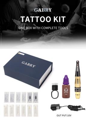 China Factory OEM Permanent Makeup Machine Eyebrow Pen Microblading Tattoo Machine Kits for sale