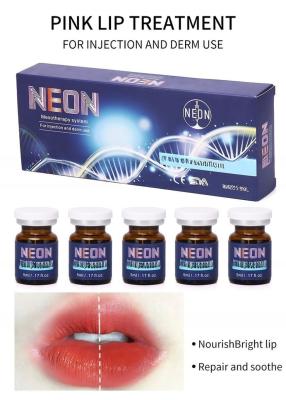 China Private Label Meso Luxury Brand Hyaluronic Acid Lip Care Moisturizing Pink Lip Plumping Serum Injection for sale