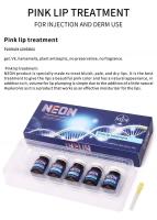 China Private Label Meso Luxury Brand Hyaluronic Acid Lip Care Moisturizing Pink Lip Plumping Serum Injection for sale